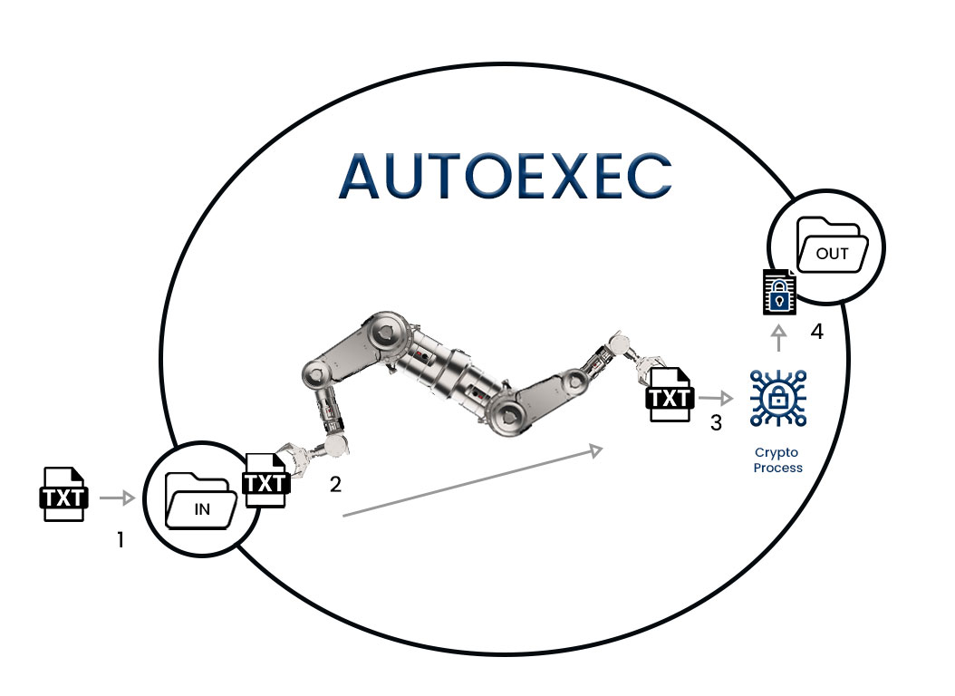 AUTOEXEC Como Funciona - Prodist